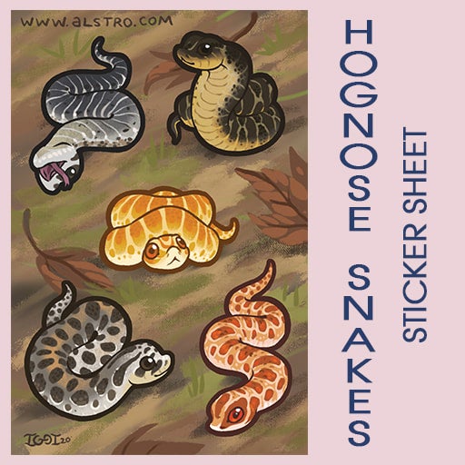 Clearance: Hognose Snake Sticker Sheet | Alstro Arts Store